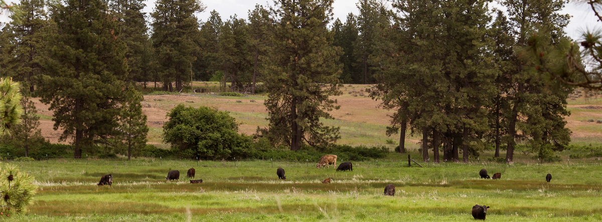 Visit the Farm – Sullivan Family Farms