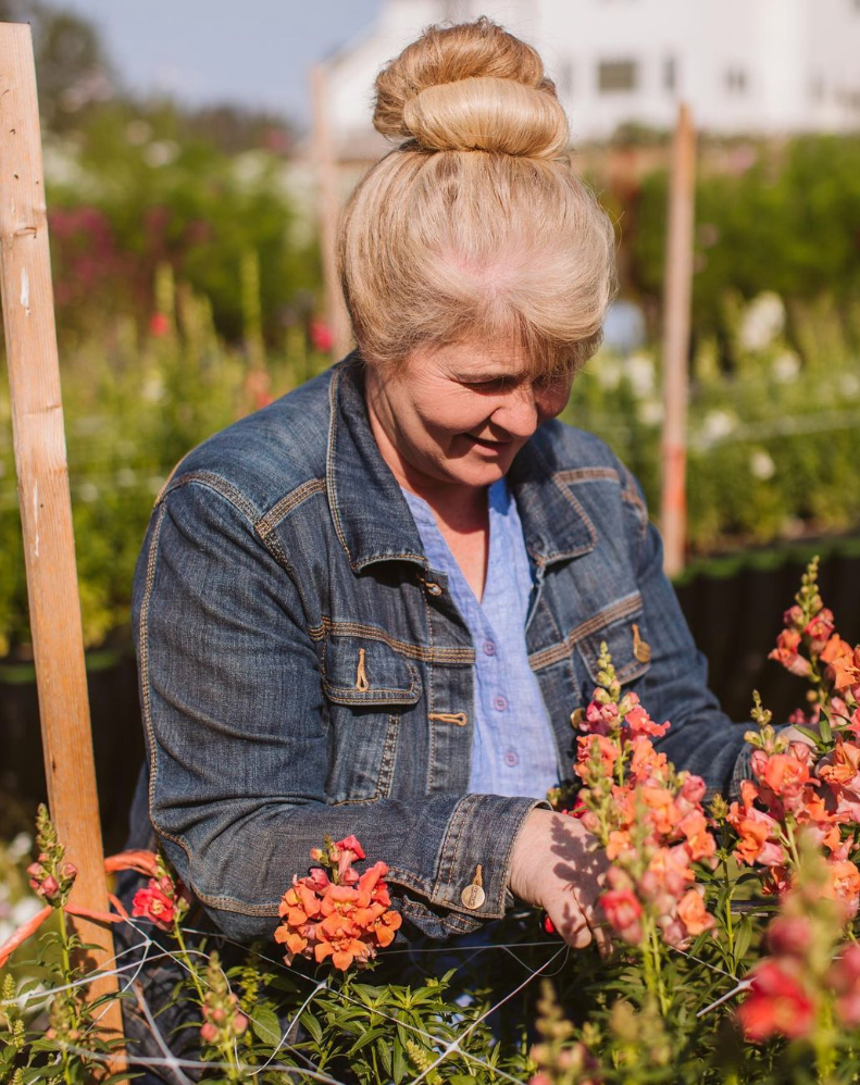 About Us – Sullivan Family Farms