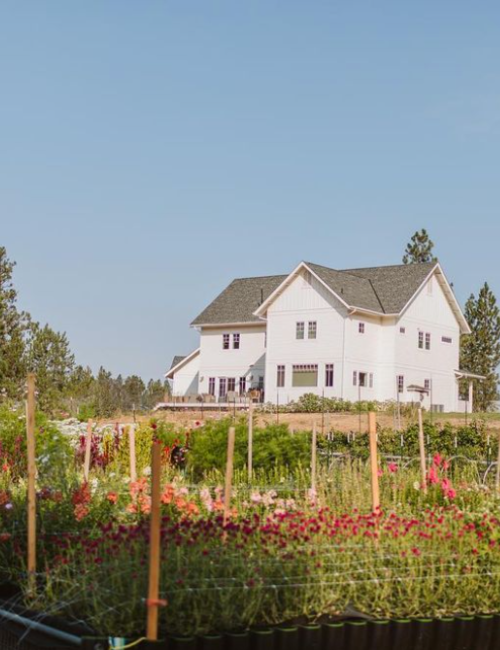 About Us – Sullivan Family Farms