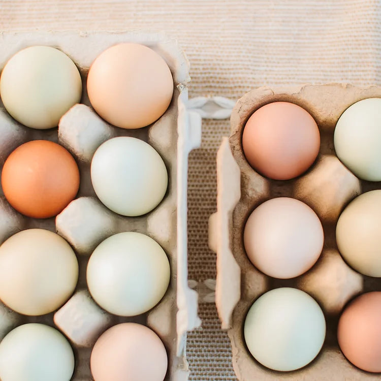 Farm Fresh Eggs – Sullivan Family Farms